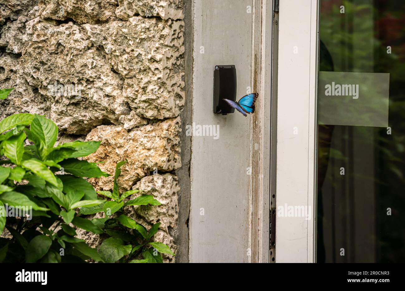 Fairchild Tropical Botanic Garden, Miami , Florida - exotic colorful ...