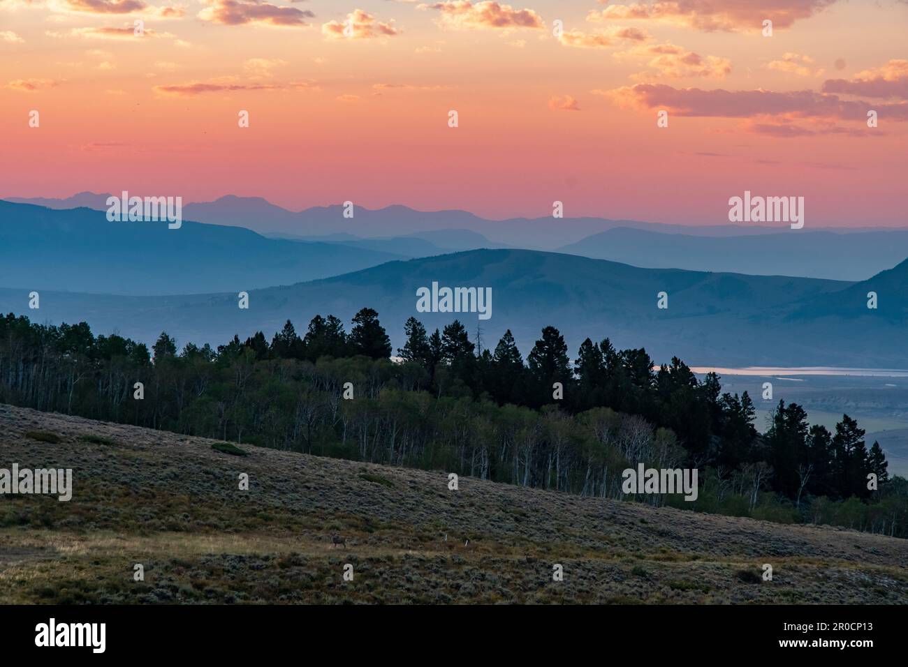 Latigo ranch hi-res stock photography and images - Alamy