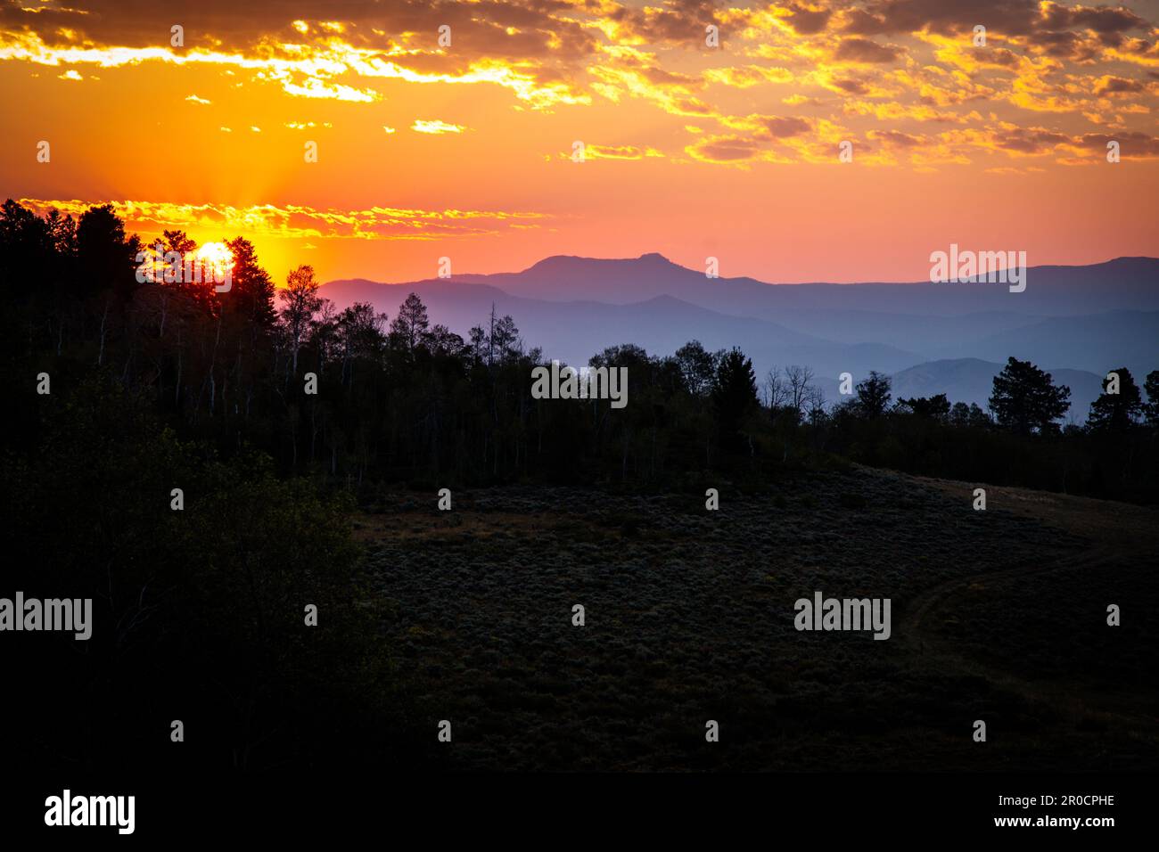 Látigo horizontal hi-res stock photography and images - Alamy