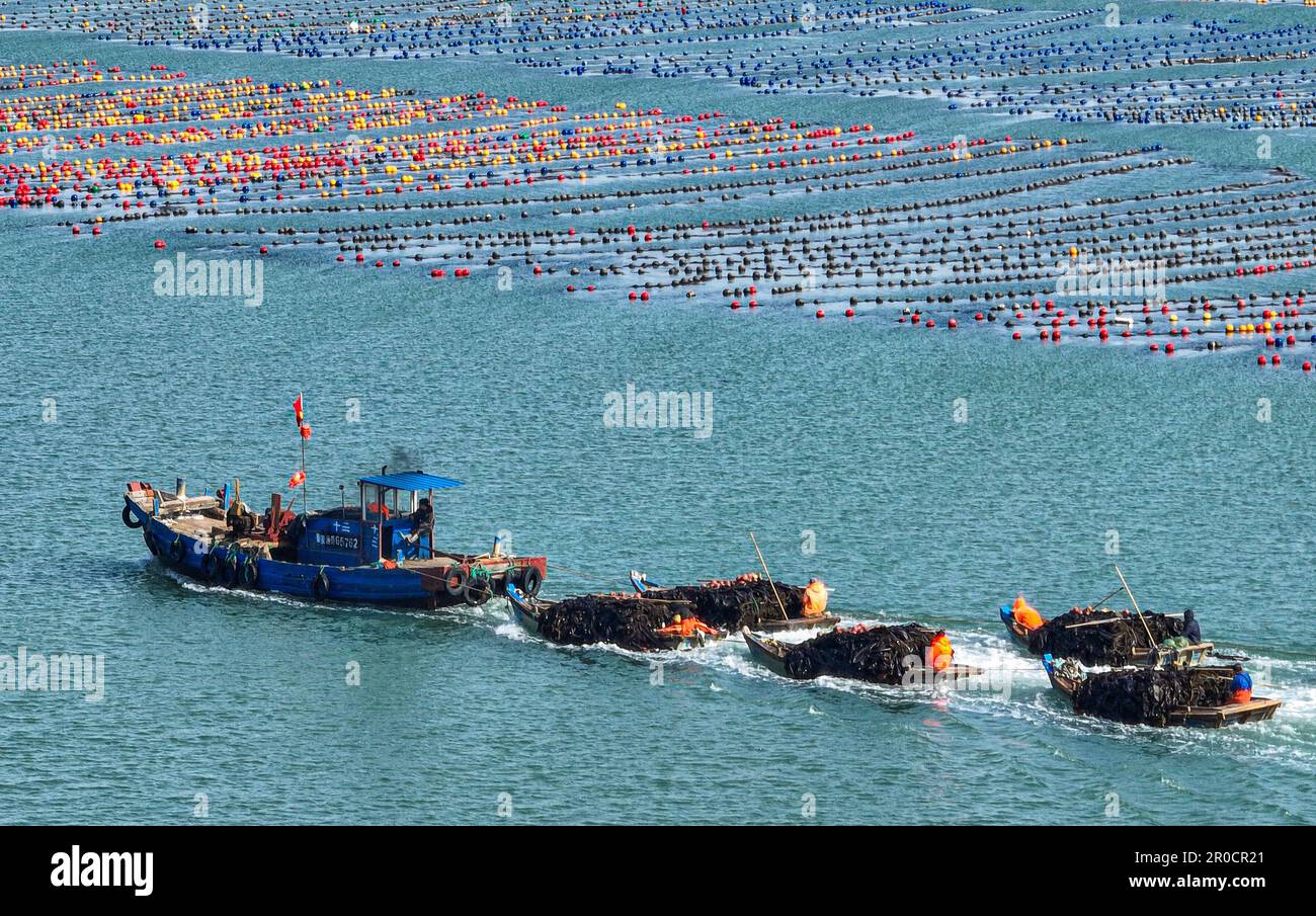 Weihai, China's Shandong Province. 8th May, 2023. This aerial photo ...