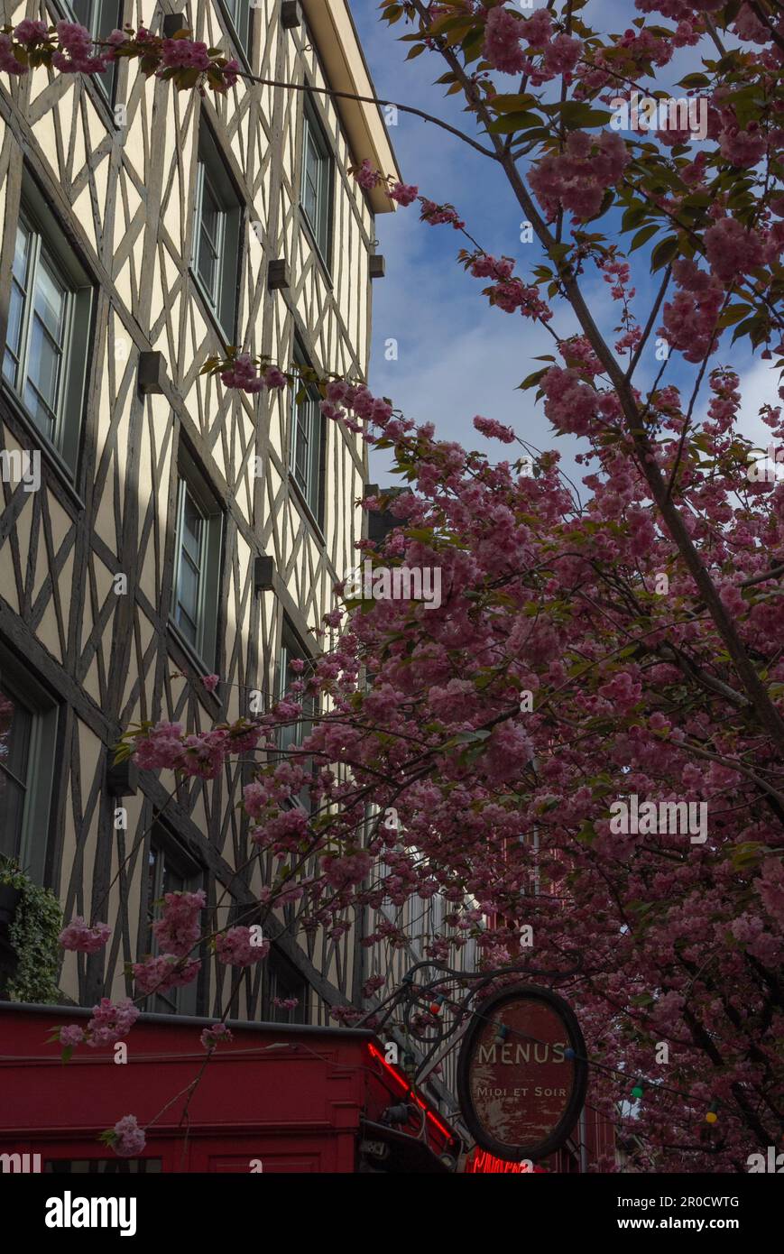 Rouen, France: the green and cream half-timbered facade of an old house ...