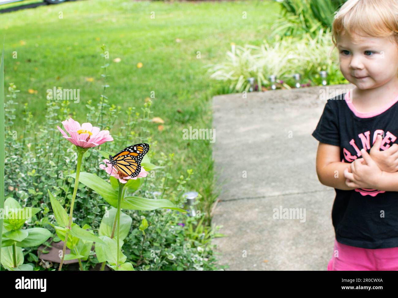 Child with butterfly. Toddler watching monarch butterfly Stock Photo ...