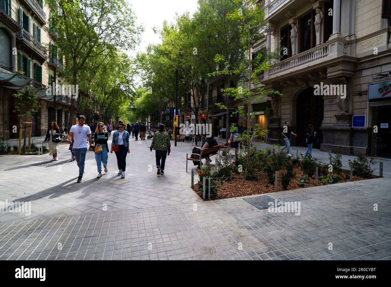 Eixos verds hi-res stock photography and images - Alamy