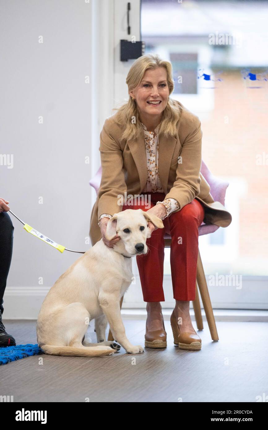 The Duchess of Edinburgh takes part in a puppy class at the Guide Dogs ...