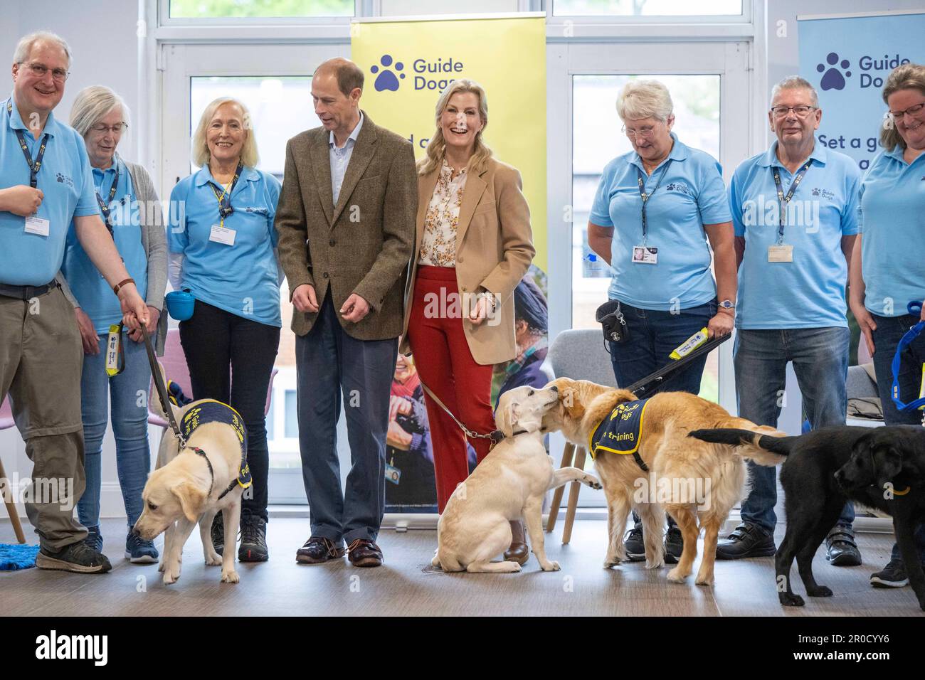 Edward and sophie puppy hi-res stock photography and images - Alamy
