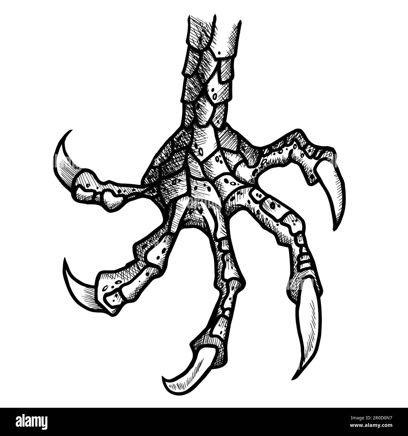 Dragon or monster paw with claws. Wild tattoo. Horror sticker ...