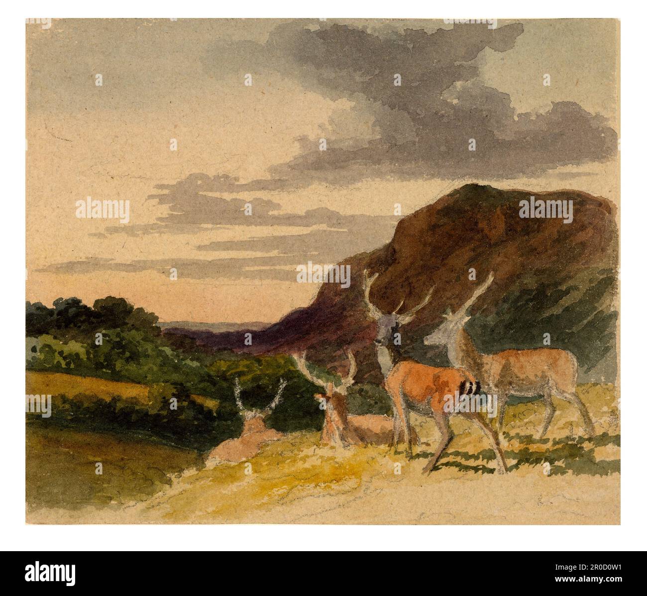 Landscape hills grass or bush Cut Out Stock Images & Pictures - Alamy