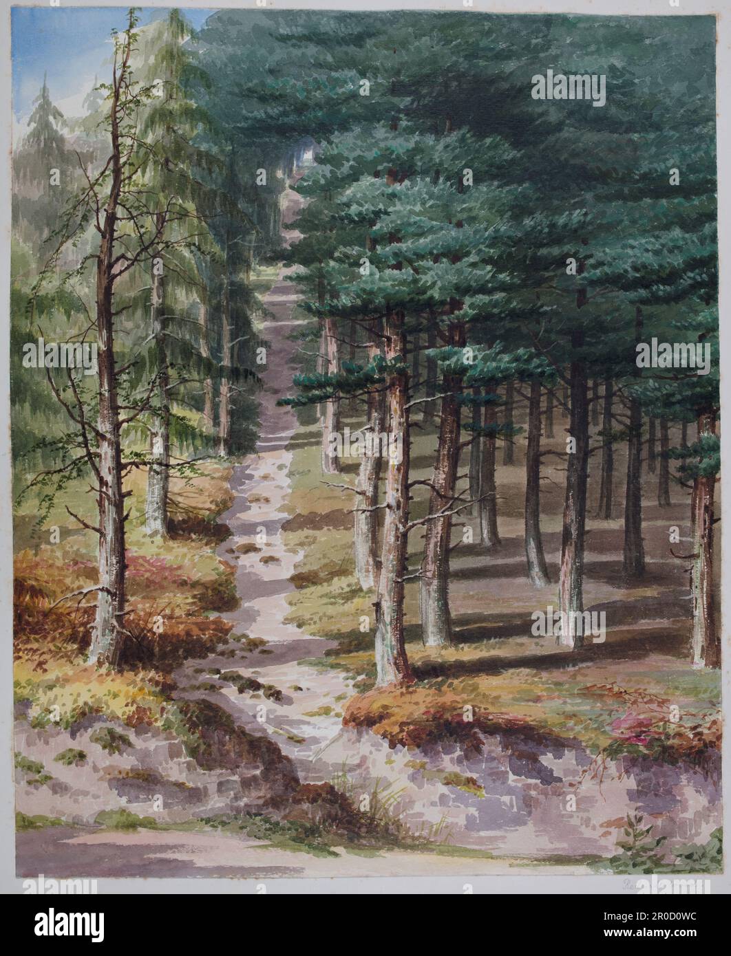 Rednal Wood, 1850-1880. Elijah Walton Stock Photo - Alamy