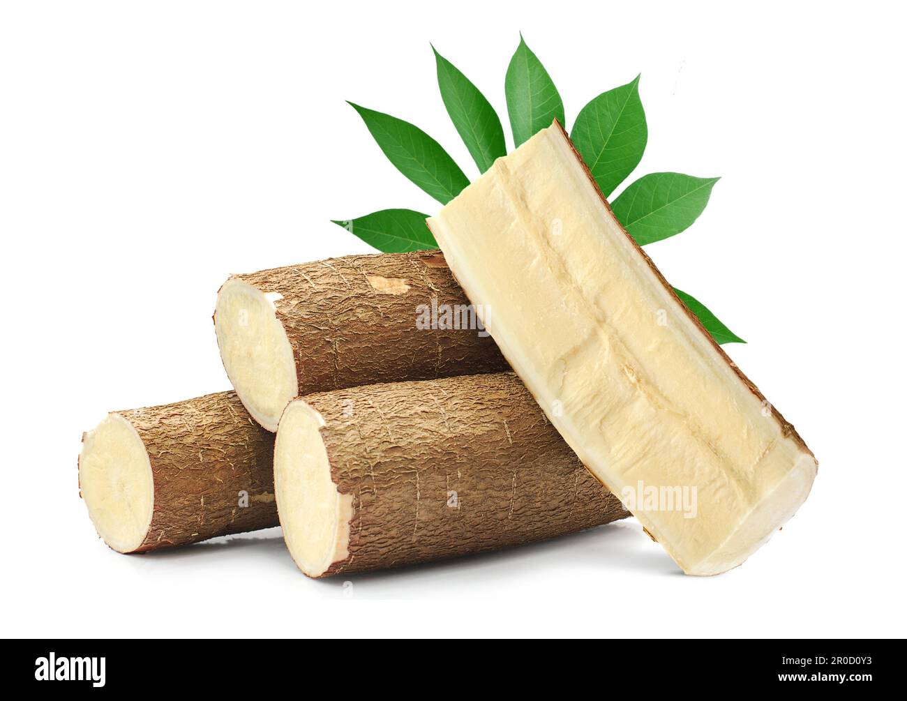 Cassava isolated on white background Stock Photo - Alamy