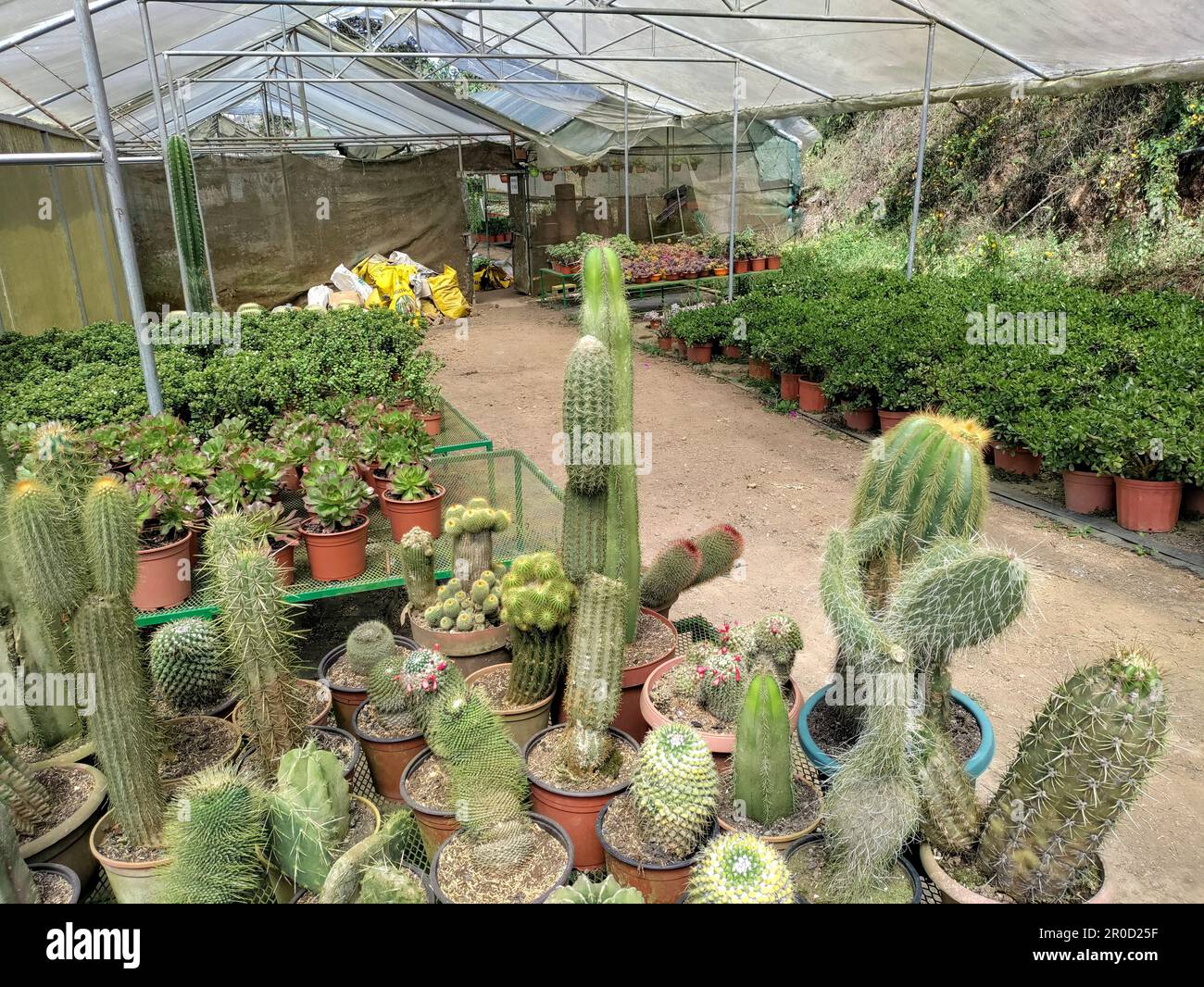 San Ramon, Costa Rica - Vivero el Jardin, a plant nursery Stock Photo ...