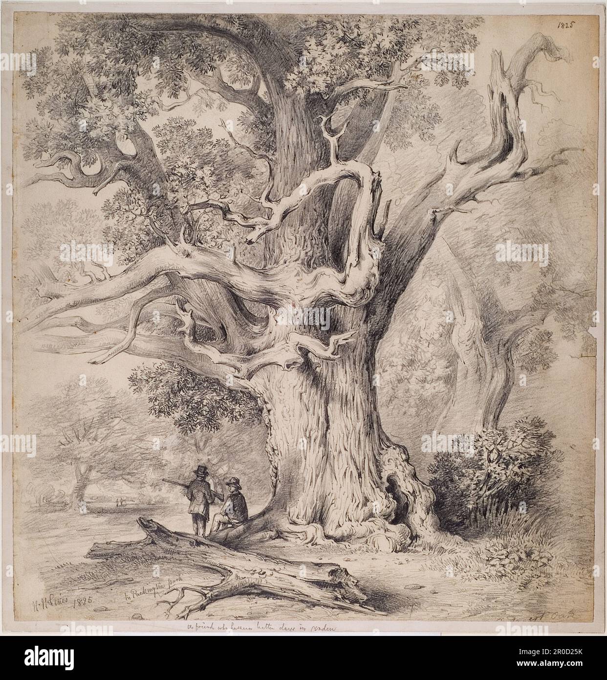 Packington park hi-res stock photography and images - Alamy