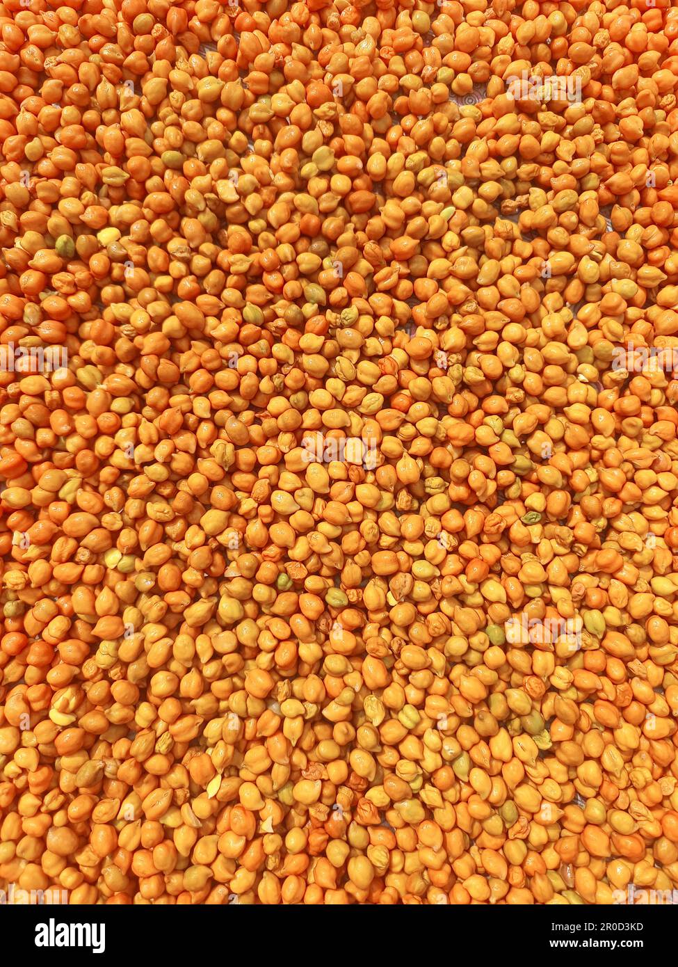 Group of Dry Organic Kala Chana, Organic Chickpeas, Black Chick Pea ...