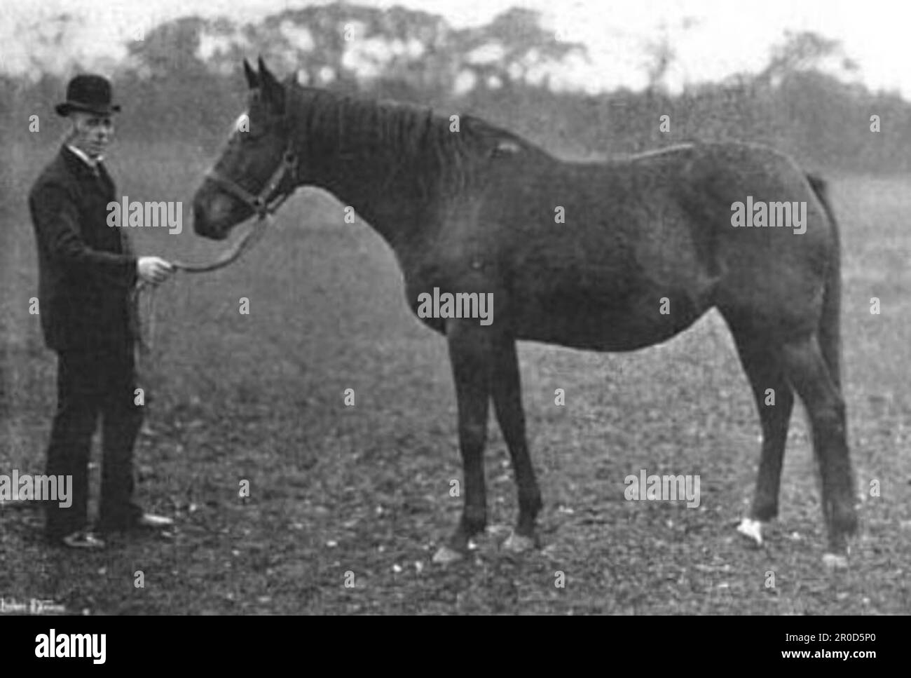 Amiable (1891–1915) was a British Thoroughbred racehorse that won the ...