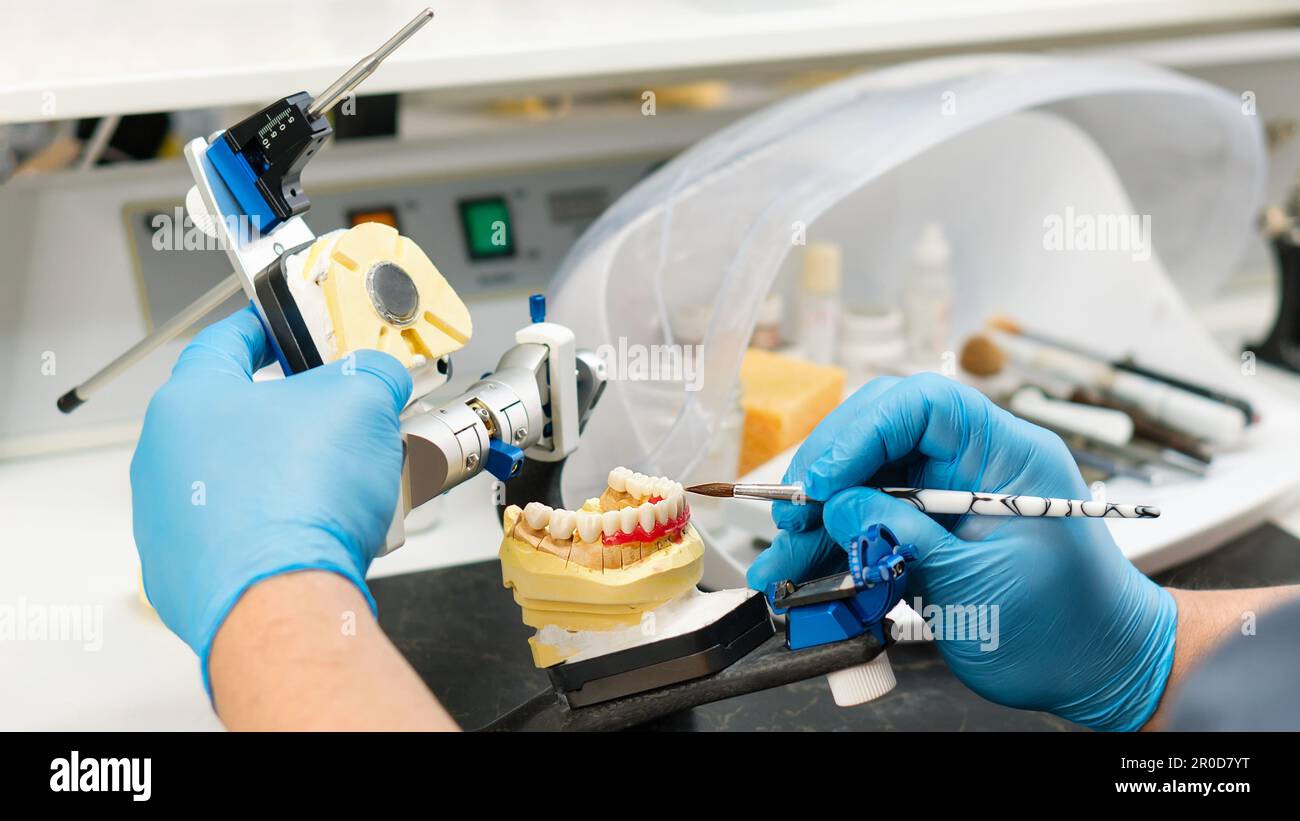 Dental prosthesis work. Denture work. Teeth painting. Dental technician ...