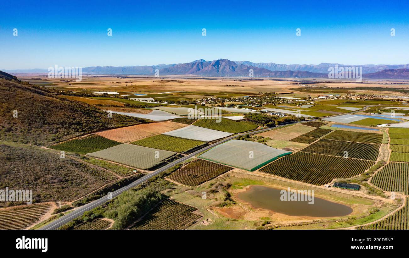 Sparse desert landscape dotted hi-res stock photography and images - Alamy