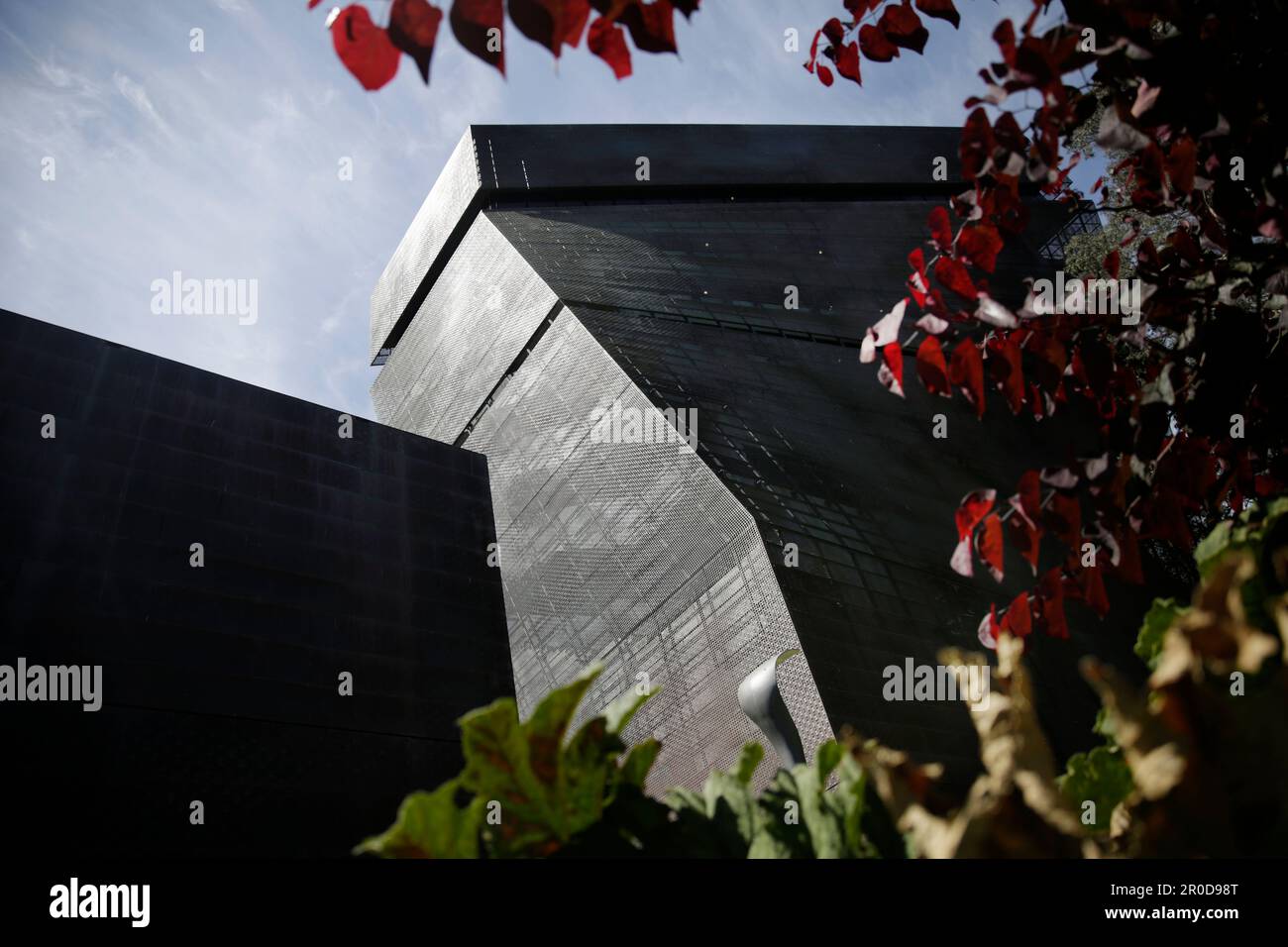 The de Young Museum's Hamon Tower (right) rises above the museum ...