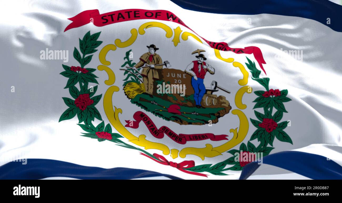 West Virginia state flag waving on the wind. White field, blue stripe ...