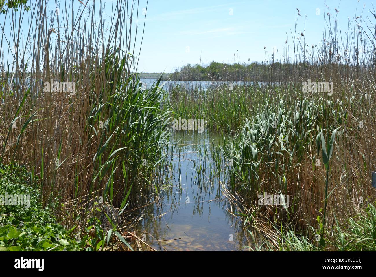 Durankulak Lake preserved are in Bulgaria Stock Photo - Alamy