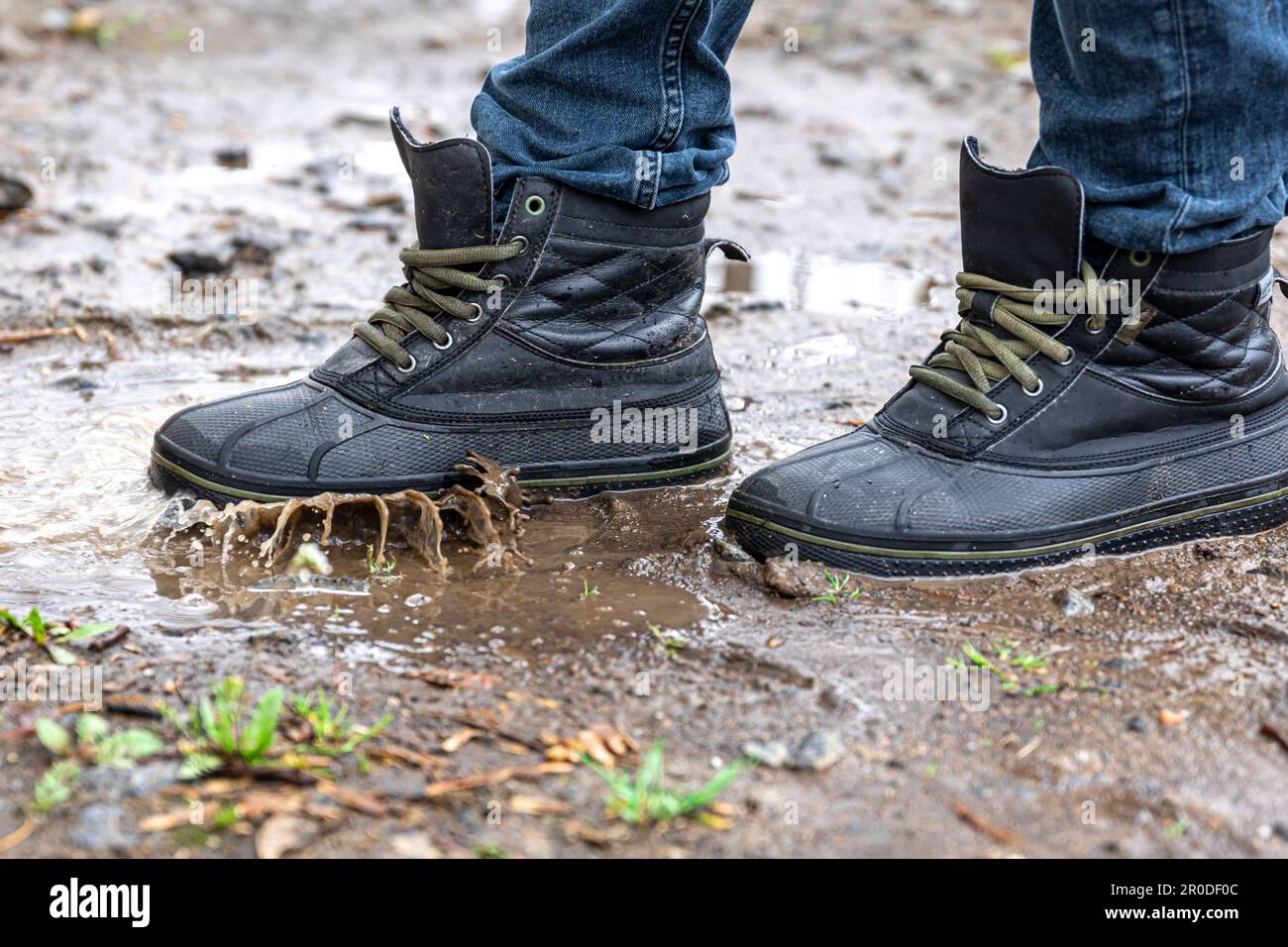 A man in jeans and boots walks through the swamp in rainy weather Stock ...
