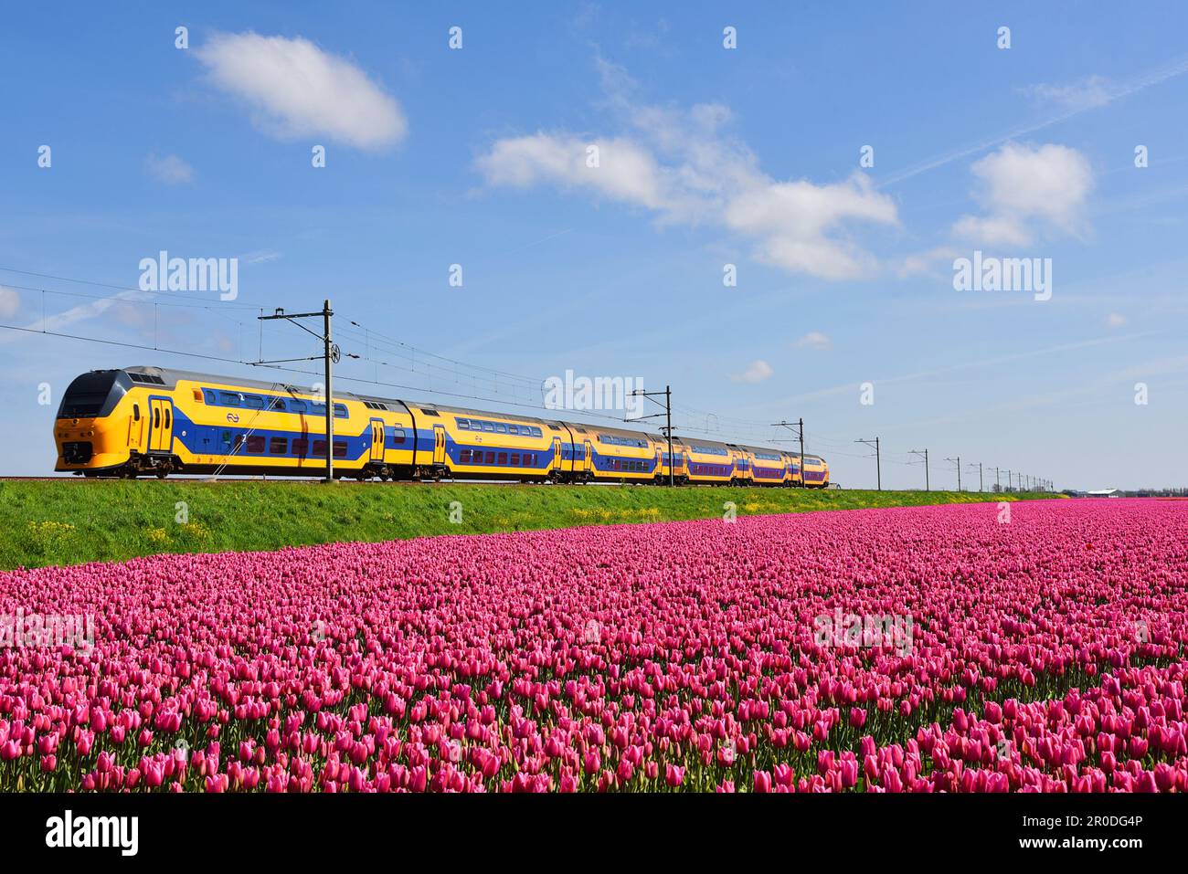 Dutch railways hi-res stock photography and images - Alamy