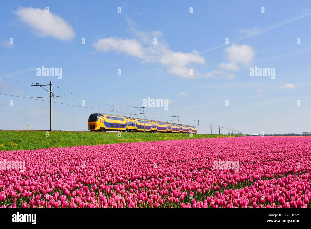 Dutch train hi-res stock photography and images - Alamy