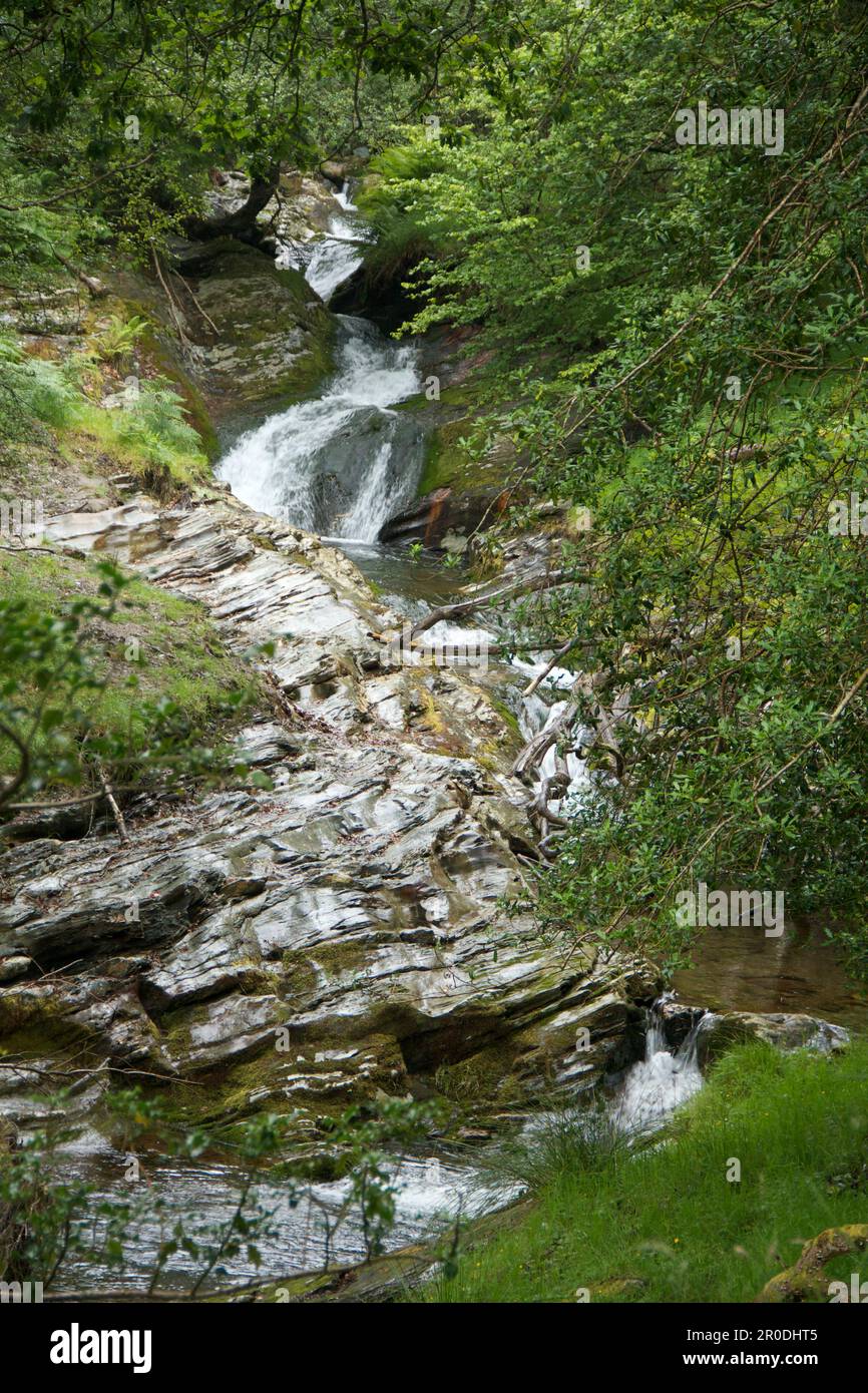 Habitat stream waterfall hi-res stock photography and images - Alamy