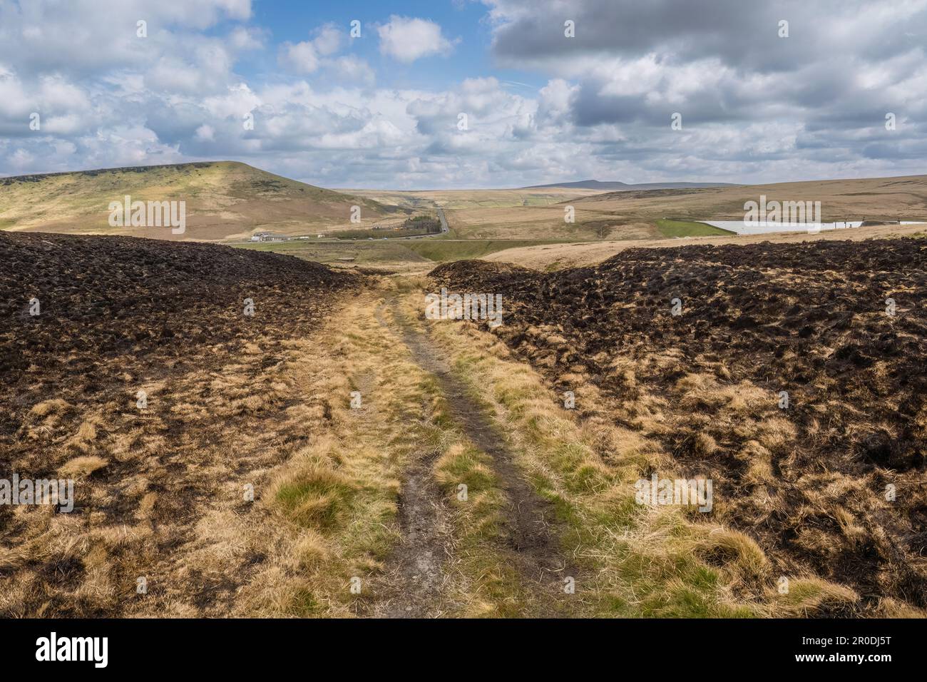Paved footpath on burnt Pennine moorland with Pule Hill in the Southern ...