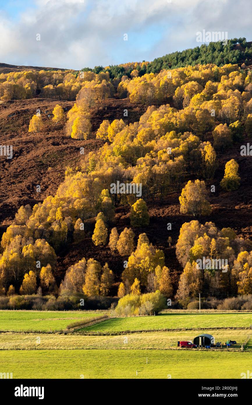Glen strathglass hi-res stock photography and images - Alamy