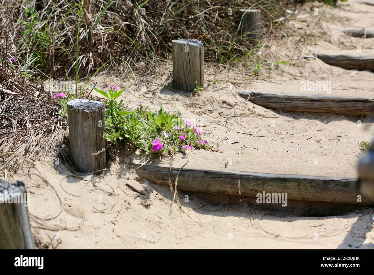 Light of stairs hi-res stock photography and images - Alamy