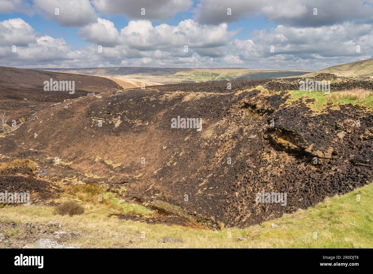 Paved footpath on burnt Pennine moorland with Pule Hill in the Southern ...