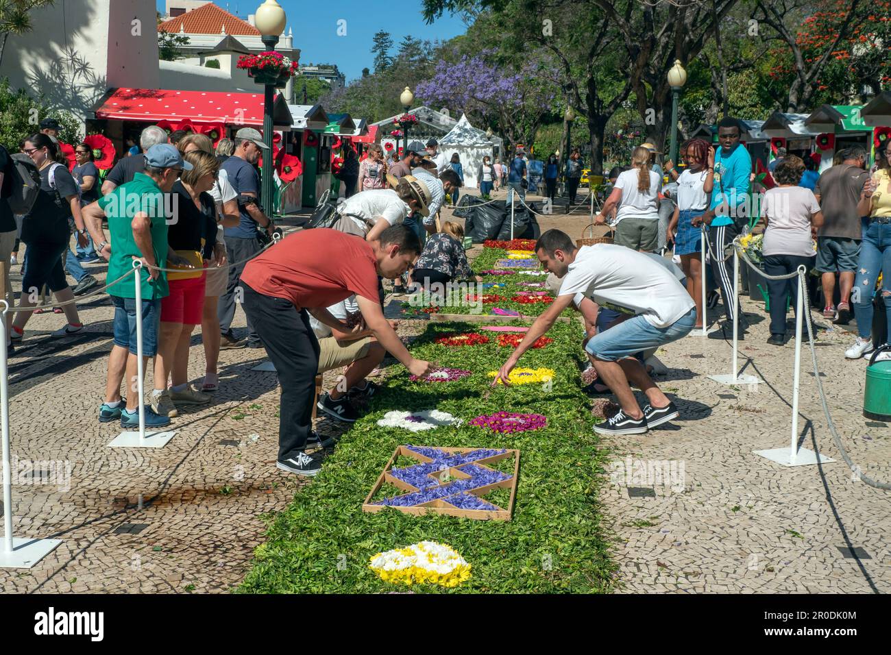 The May Flower Festival, Funchal, Madeira, Portugal Stock Photo - Alamy