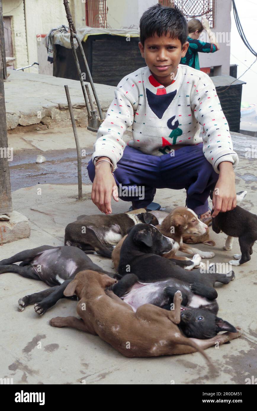 Varanasi, India - December 10, 2009: boy is selling young dogs in ...