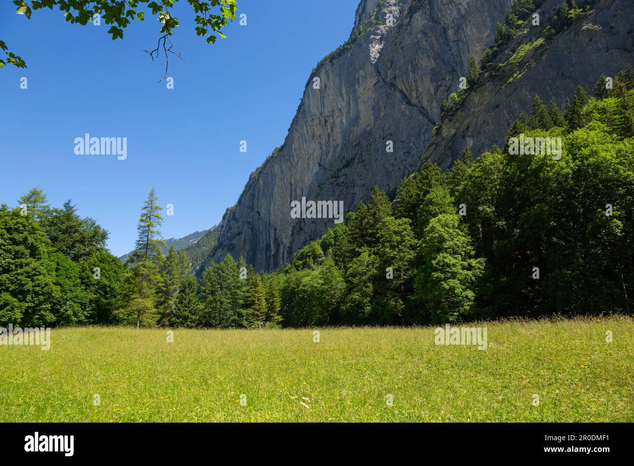 Open and untouched Alpine and Swiss countryside on a sunny day Stock ...
