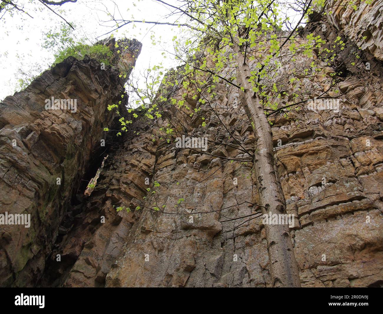 Mullerthal (Waldbillig, Canton of Echternach, Luxembourg Stock Photo ...