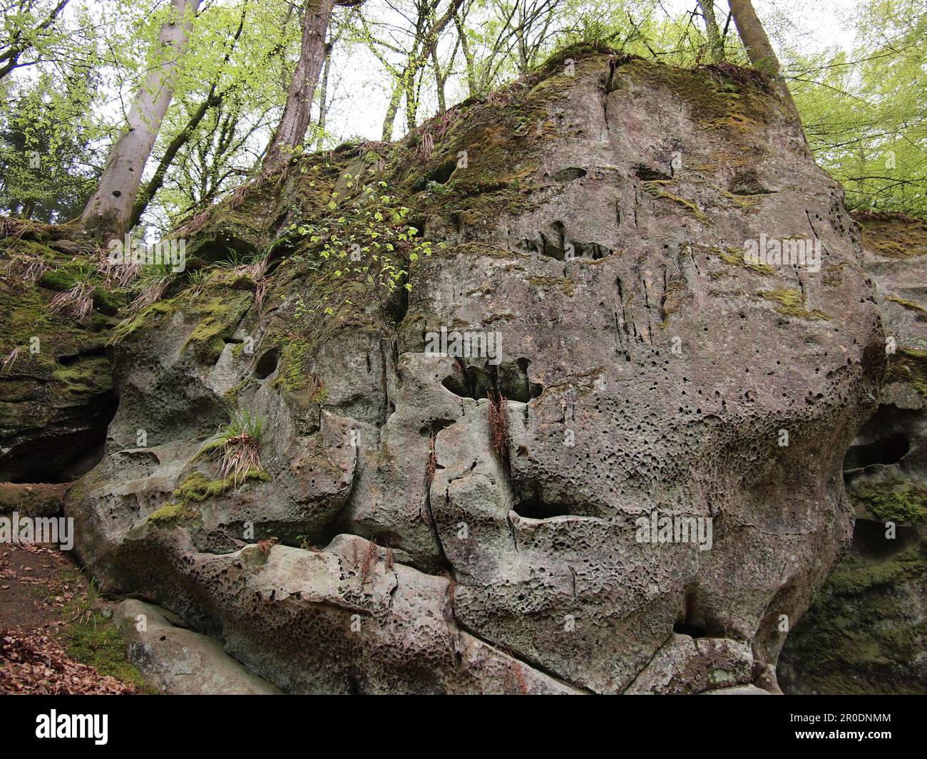 Echternach canton hi-res stock photography and images - Alamy