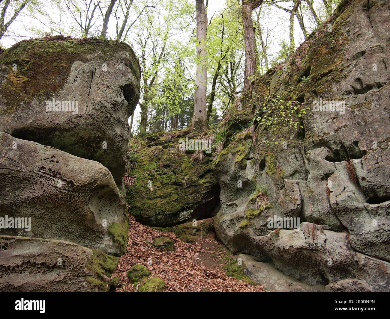 Echternach canton hi-res stock photography and images - Alamy