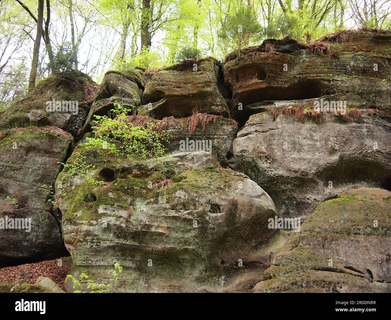 Mullerthal region hi-res stock photography and images - Alamy