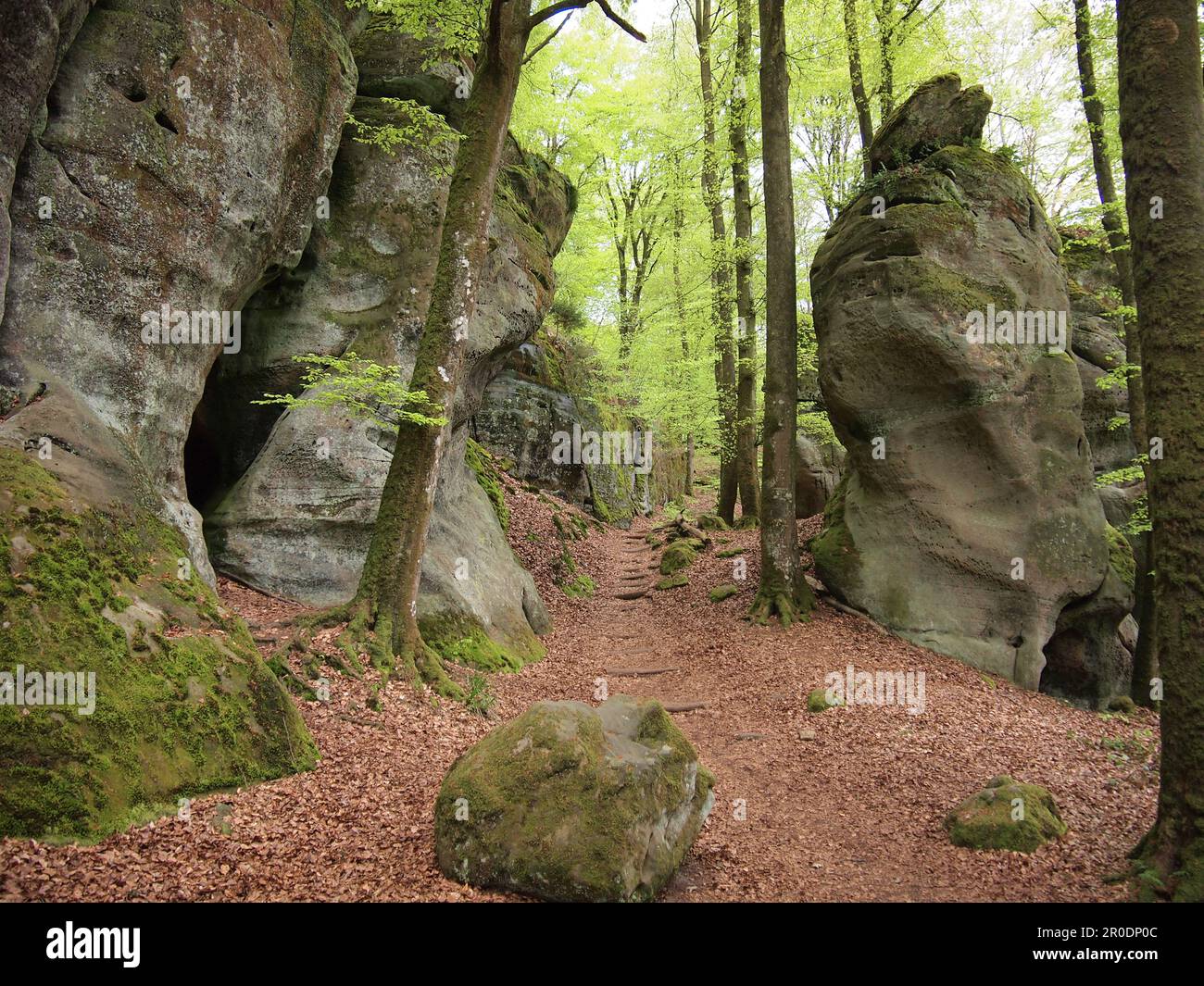 Echternach canton hi-res stock photography and images - Alamy