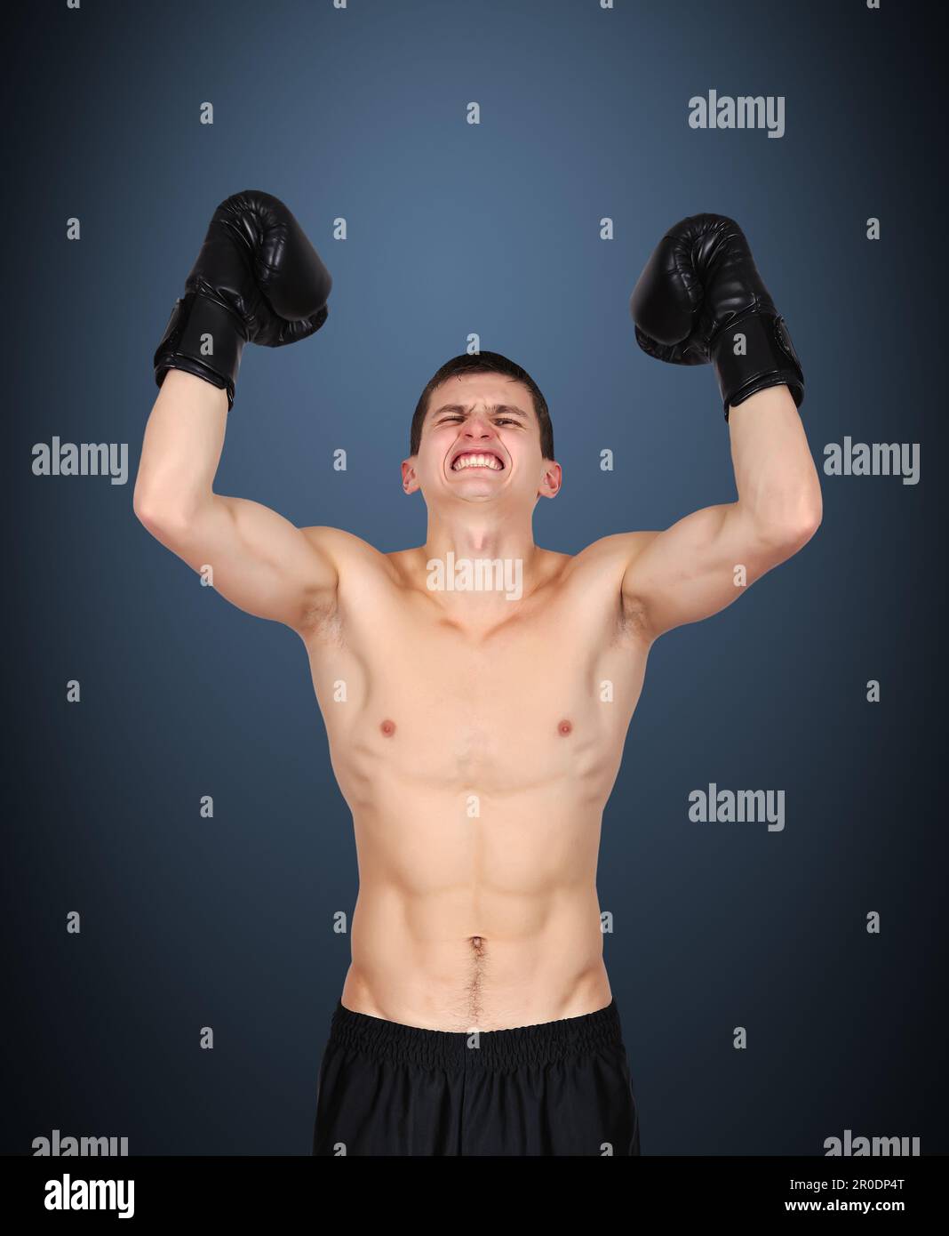 happy boxer winner on a blue background Stock Photo - Alamy