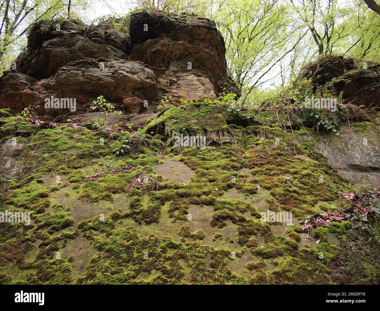 Mullerthal (Waldbillig, Canton of Echternach, Luxembourg Stock Photo ...