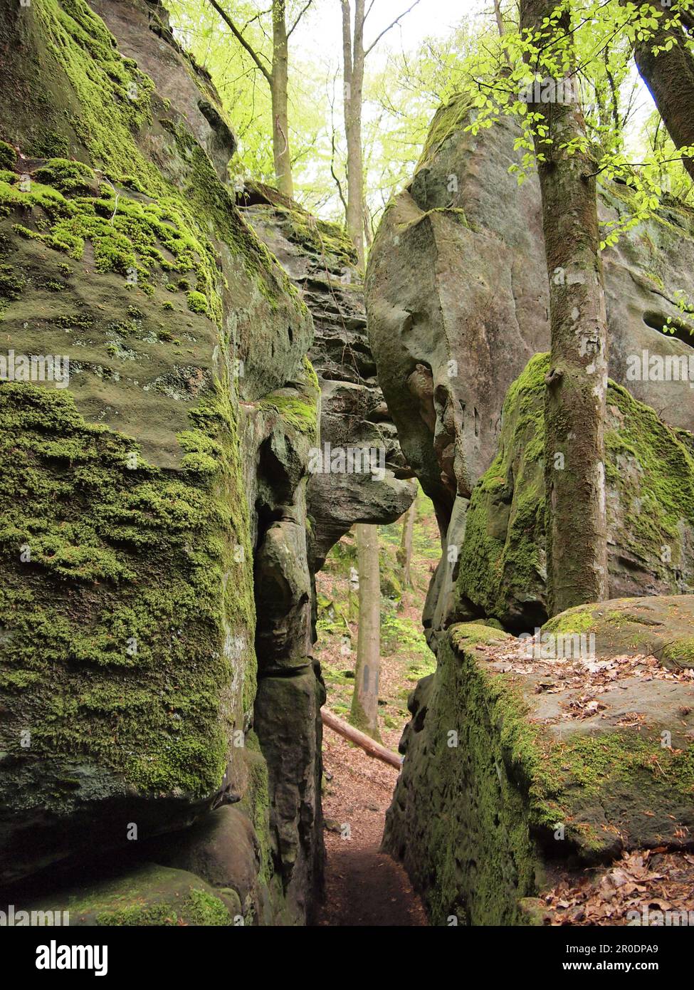 Suisse luxembourgeoise hi-res stock photography and images - Alamy