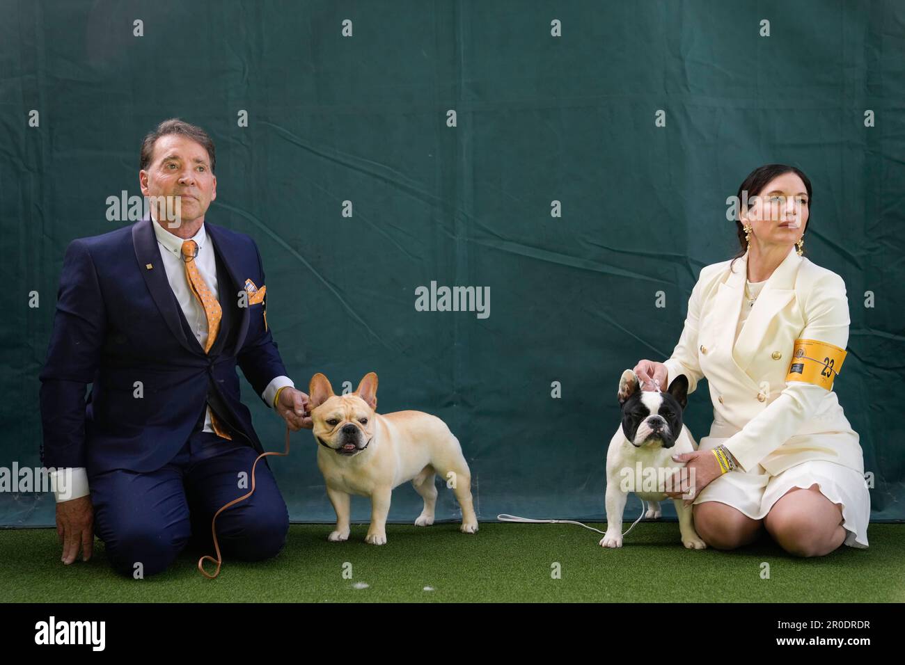 Winston, a French Bulldog, left, and his handler and co-owner Perry ...