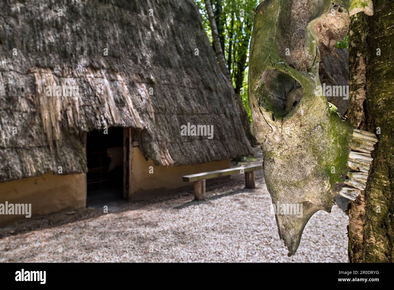 Archeosite and museum hi-res stock photography and images - Alamy
