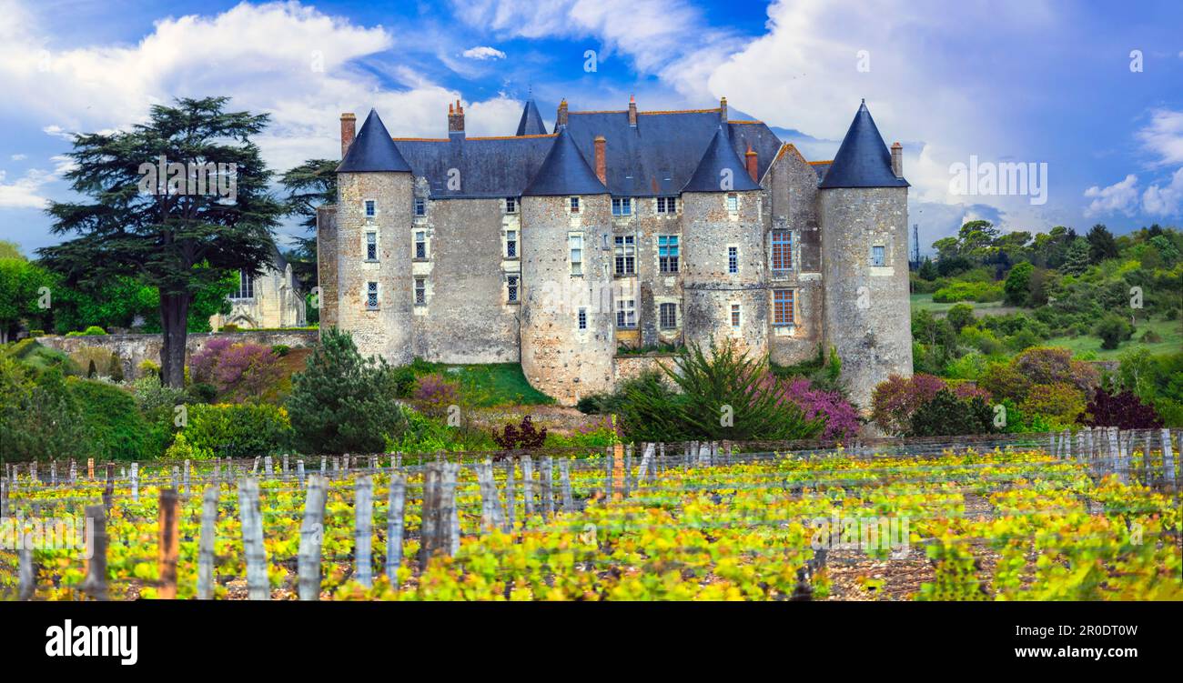 medieval French castles of Loire valley. Chateau de Luynes surrounded ...