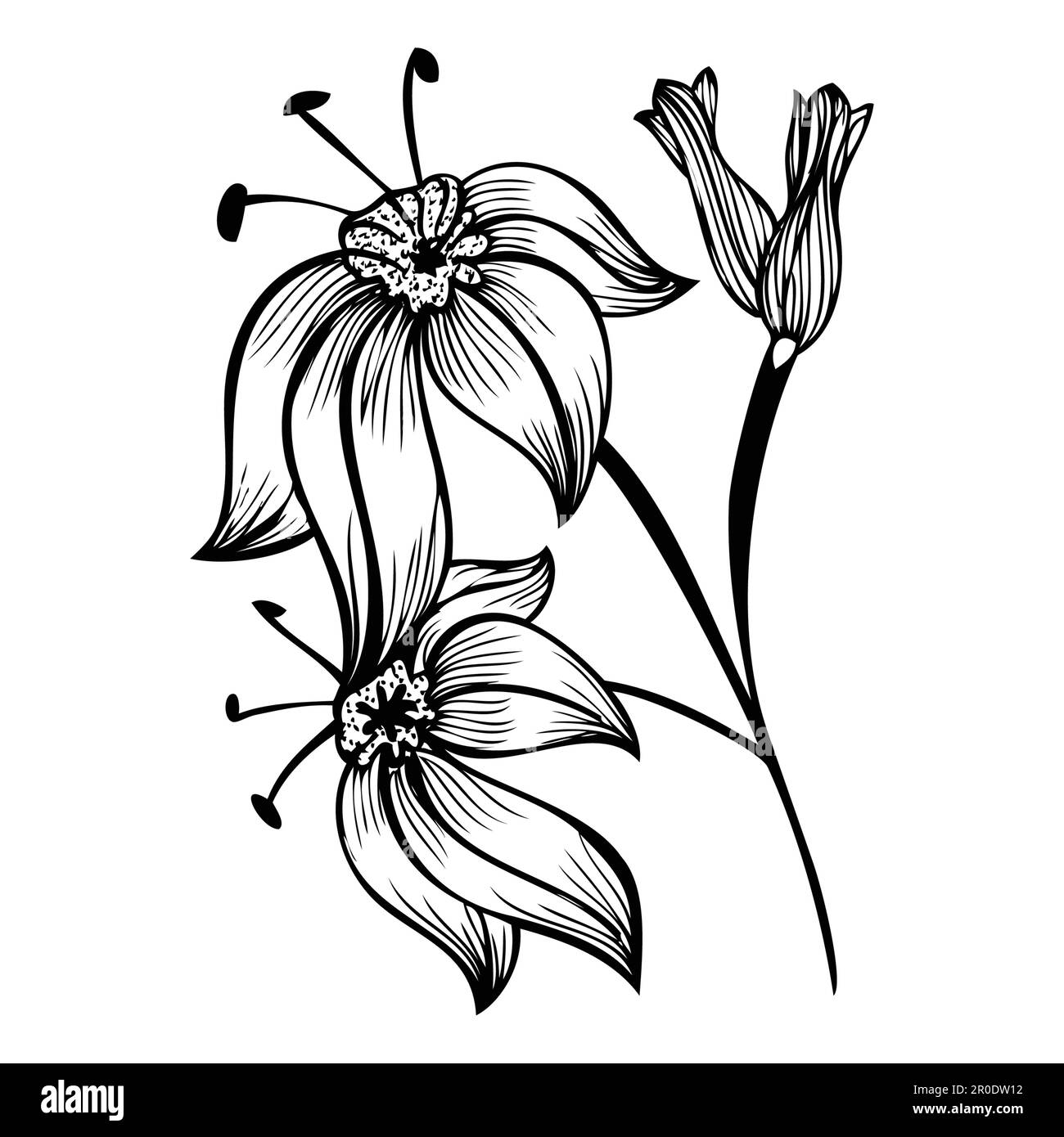 Flower bouquet on celebration Black and White Stock Photos & Images - Alamy