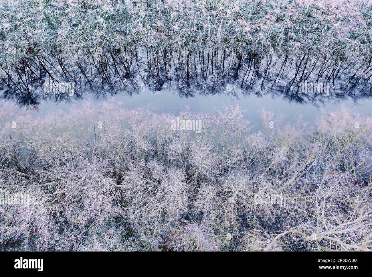 Perl-Besch Nature Reserve, Saarland, Germany Stock Photo - Alamy