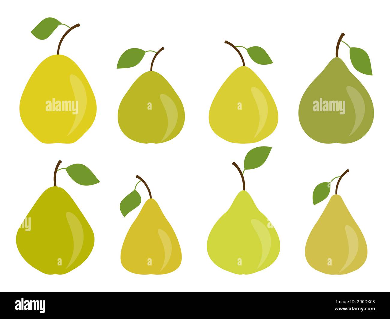 Pear set isolated on white background. Green pears with one leaf. Pears ...