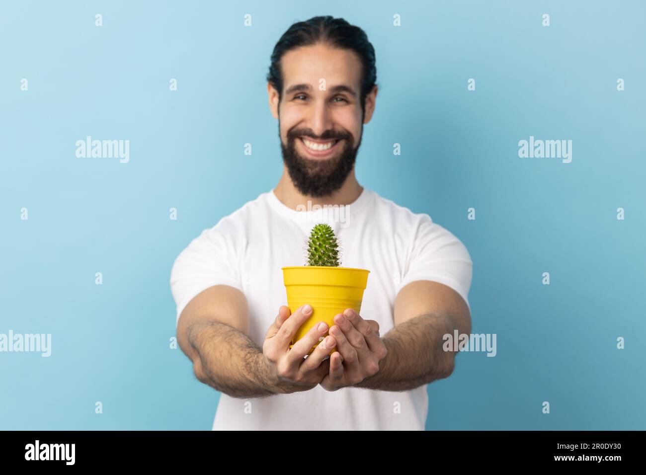 Iranian cactus hi-res stock photography and images - Alamy