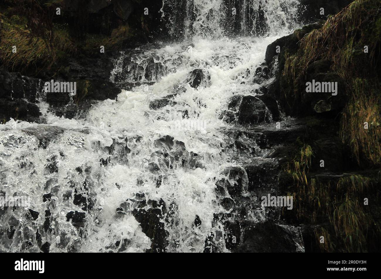 Nant Y Gerdinen, Glyn Tarell. This is the first major stream that the ...