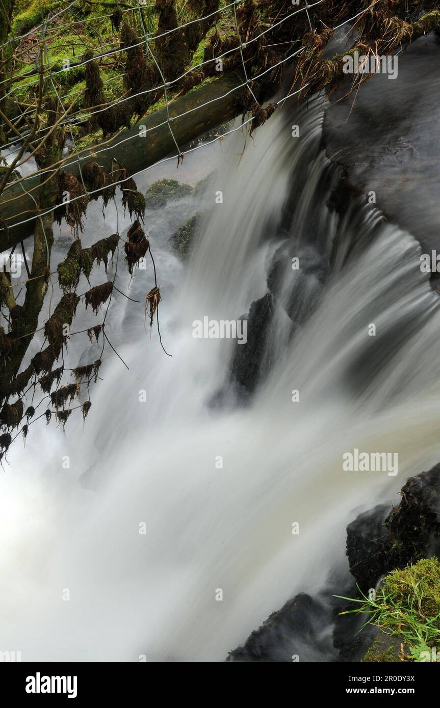 Nant Y Gerdinen, Glyn Tarell. This is the first major stream that the ...